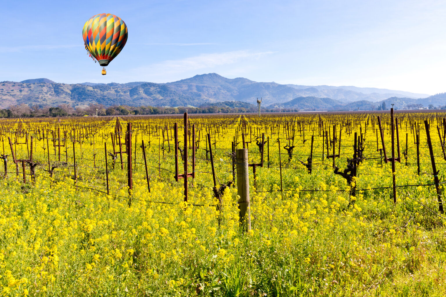 #1 BEST RATED Napa Valley Bed And Breakfast | Candlelight Inn